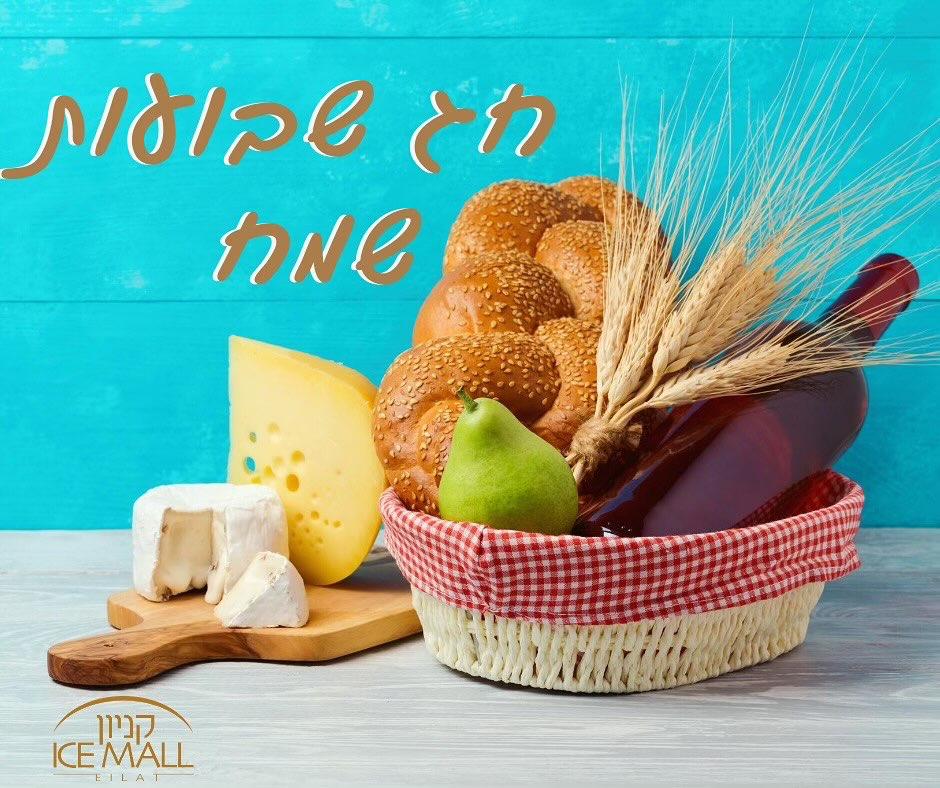 SHEKEM ELECTRIC – ICE MALL EILAT